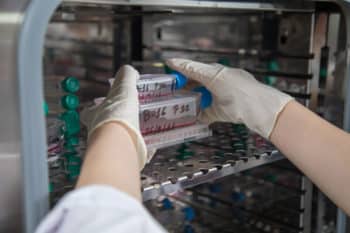 A Guide to the 4 levels of Biosafety in the Lab | InterFocus