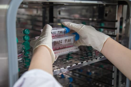 A Guide to the 4 levels of Biosafety in the Lab | InterFocus